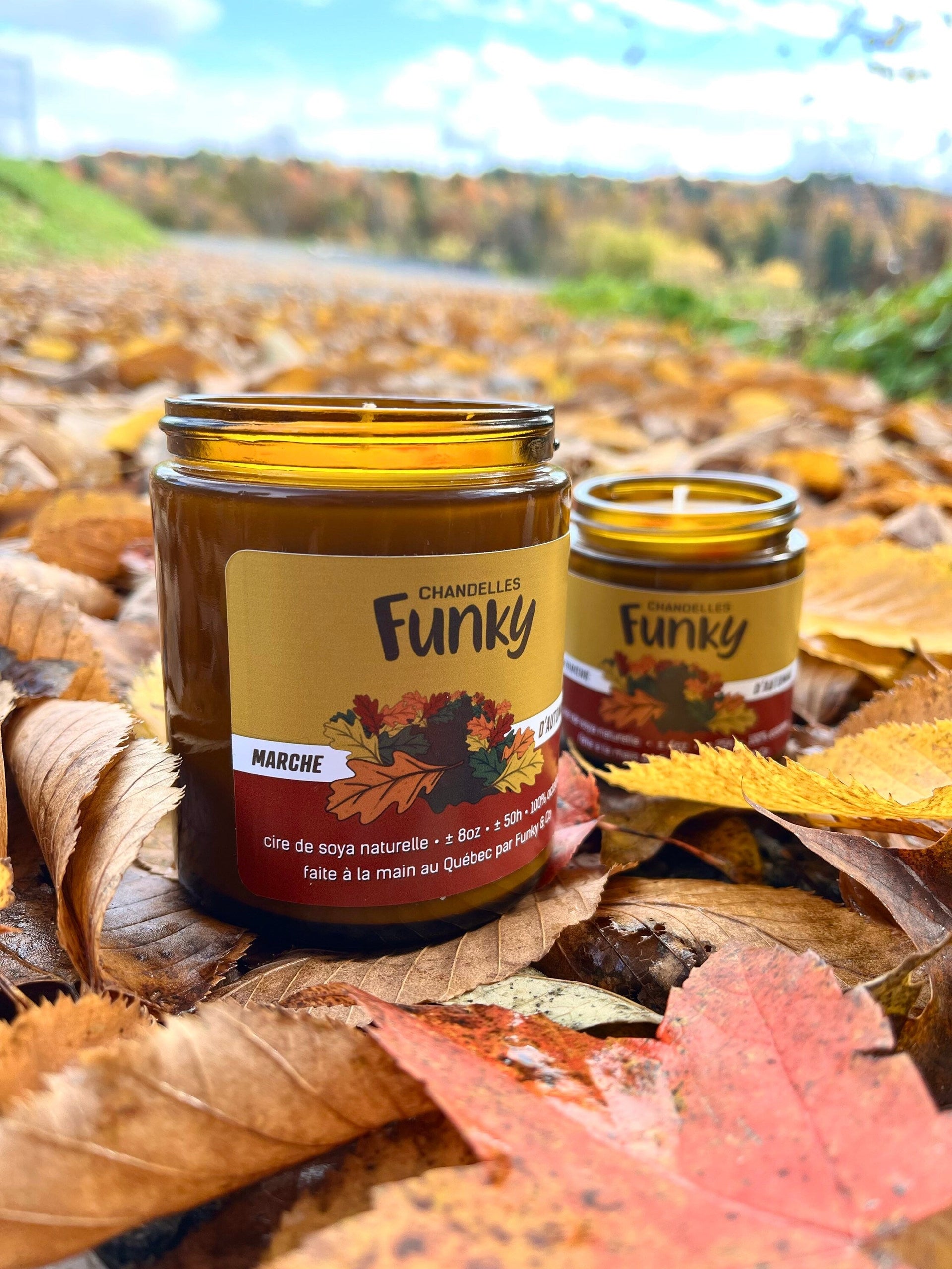 La collection Chandelles Funky – Page 4 – Funky & Co.